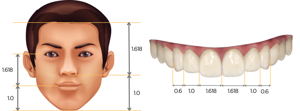 The Golden Proportion in Smile Design – SmileApp.me
